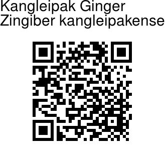 Zingiber kangleipakense - Kangleipak Ginger