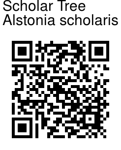 Alstonia scholaris - Scholar Tree