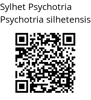 Psychotria silhetensis - Sylhet Psychotria